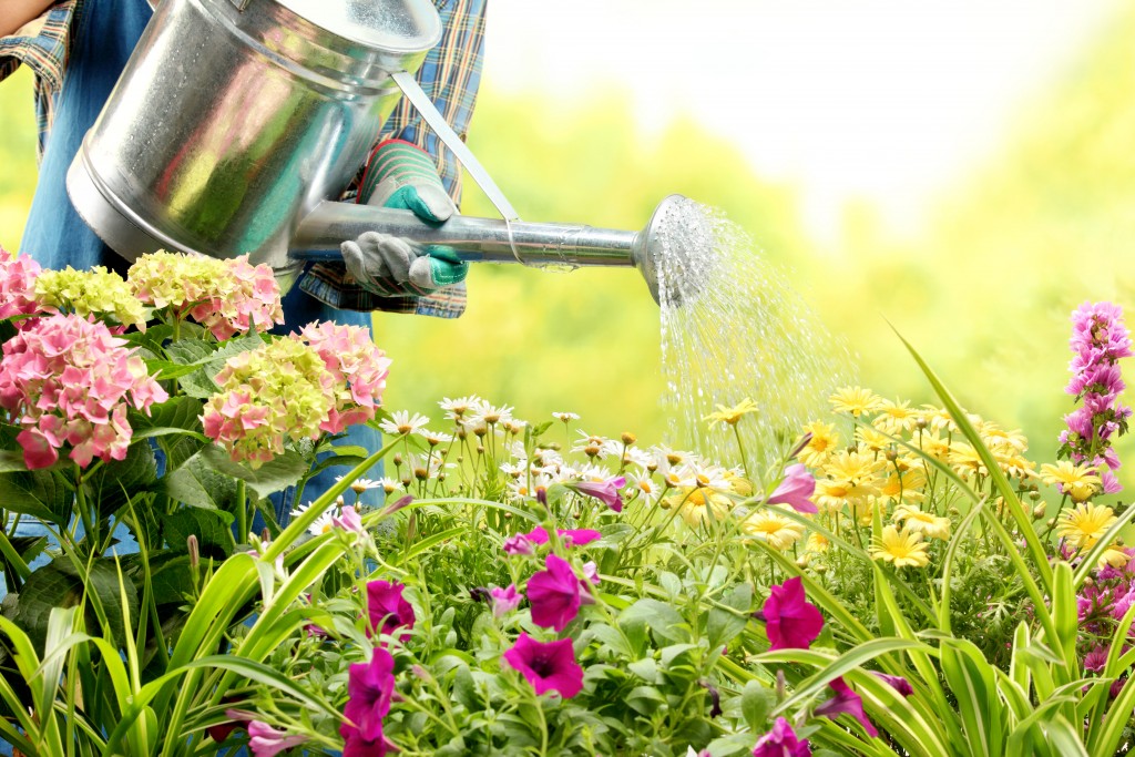 Basics of Gardening: Picking the Most Suitable Plants | Design Solid
